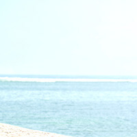 Fat Burn Supplement - Ripped Rooster